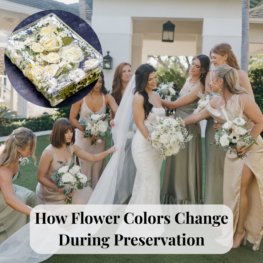 How Flower Colors Change During Preservation (and What You Can Do Abou